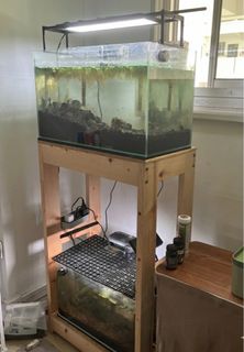 Hydor Ario Color Aquarium Aerator - RED, Pet Supplies, Homes & Other ...