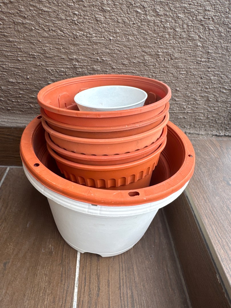 Assorted Plant Pots - Various Sizes, Furniture & Home Living, Gardening ...
