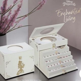 Disney 40th Anniversary Bucket, Everything Else on Carousell