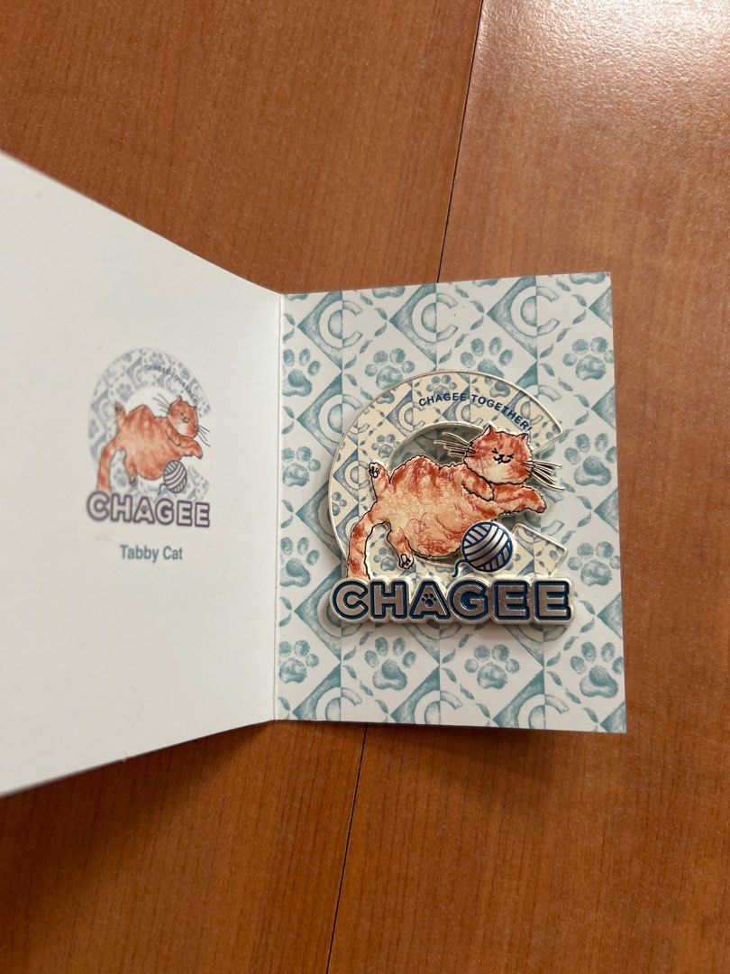 CHAGEE Tabby Cat pin, Hobbies & Toys, Toys & Games on Carousell