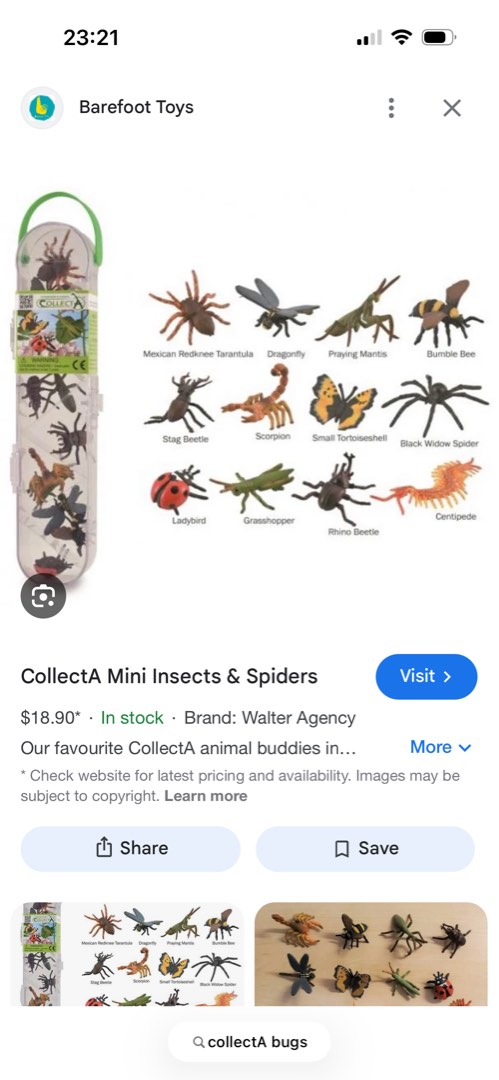 CollectA Mini Insects & Spiders Toy Set, Hobbies & Toys, Toys & Games ...