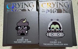 Crying to the Moon Mini Figure - Blind Box, Hobbies & Toys, Toys ...