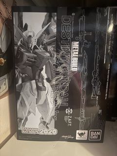 Rg Destiny Gundam Titanium + Wing Of Light + delivery, Hobbies & Toys ...