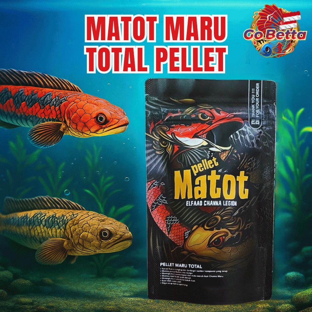 Fish Food High Protein for Channa Maruliodes | MATOT Maru Total Premium ...