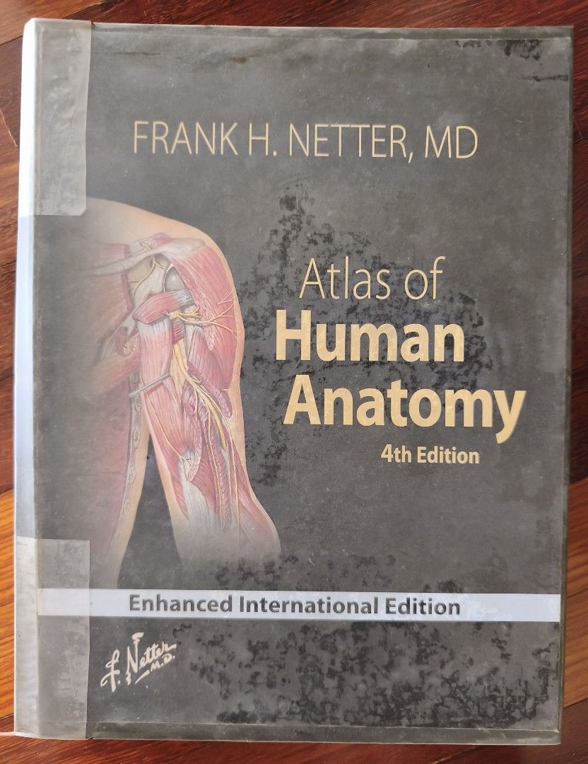 Frank H. Netter Atlas of Human Anatomy 4th Edition, Hobbies & Toys ...