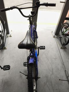 Fade Apollo kids bike (16”), Sports Equipment, Bicycles & Parts, Bicycles on Carousell