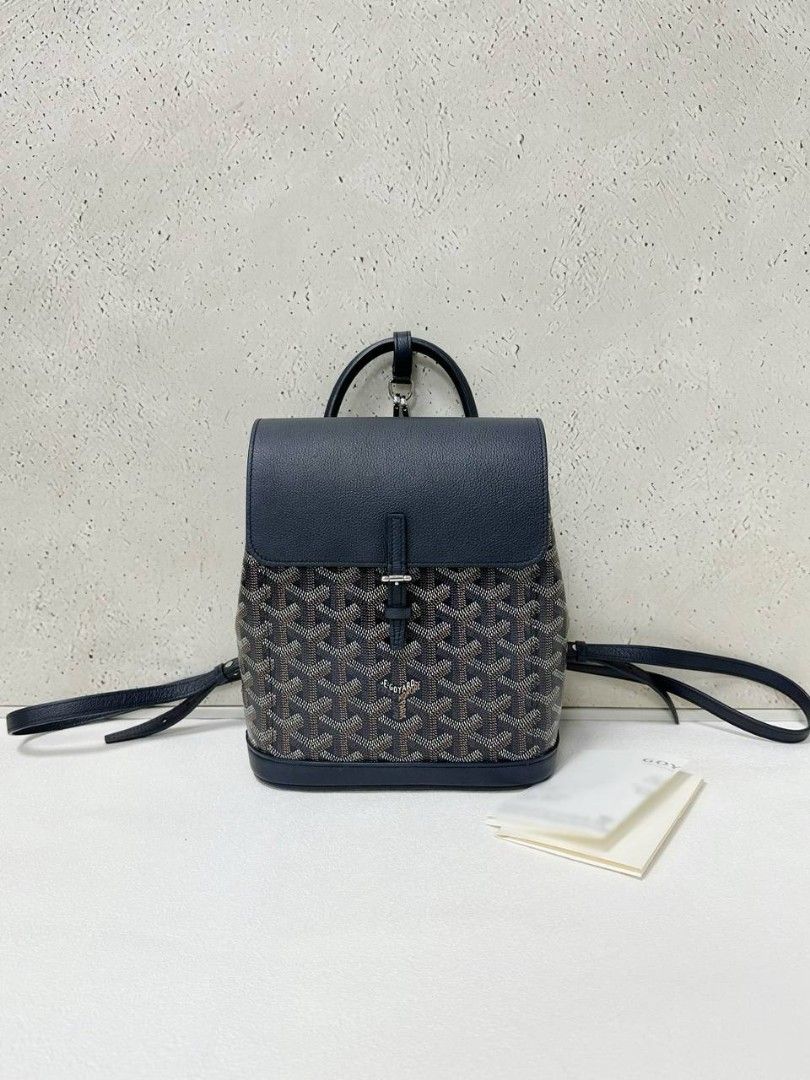 Goyard Alphin Mini Backpack in Black, Luxury, Bags & Wallets on Carousell