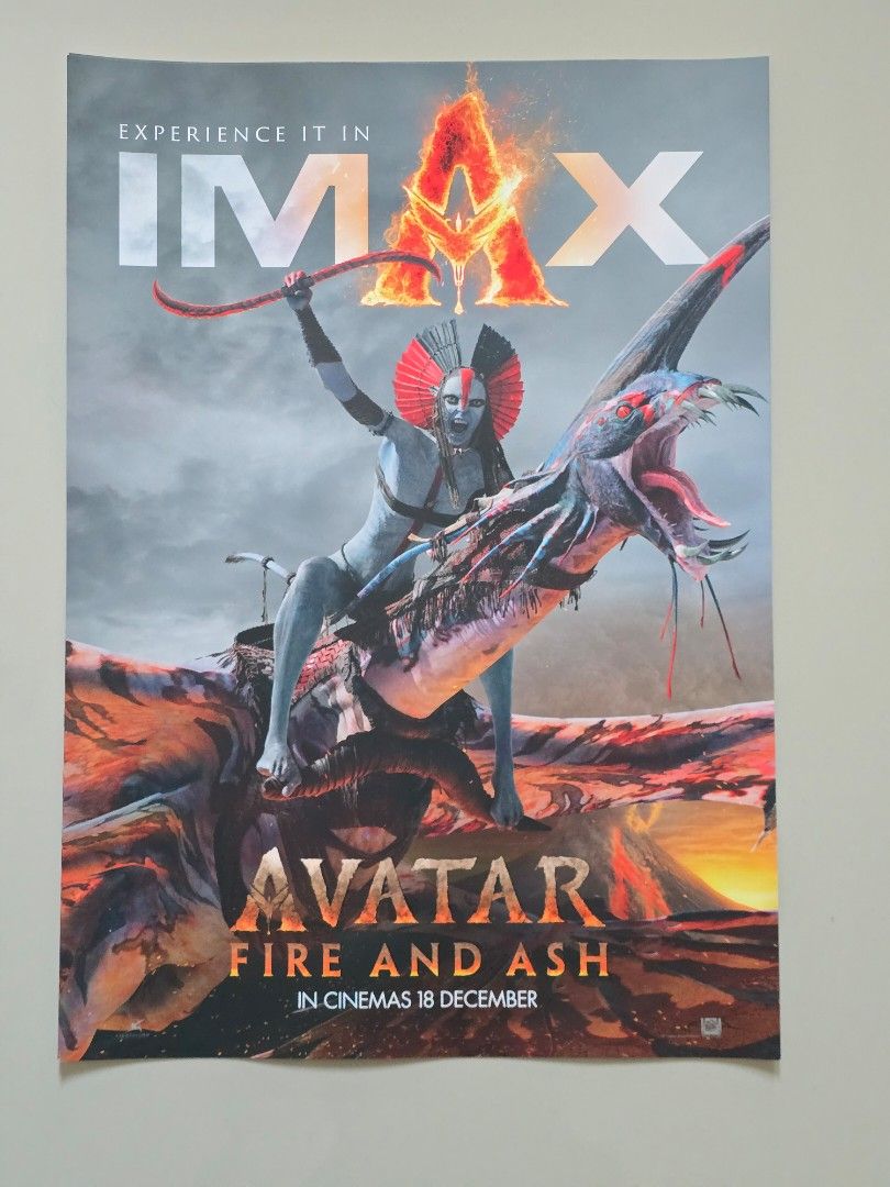 IMAX 3D Glasses and A3 Avatar: Fire and Ash Poster, Hobbies & Toys ...