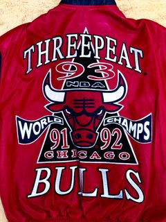 JEFF HAMILTON NASCAR, Men's Fashion, Coats, Jackets and Outerwear on ...