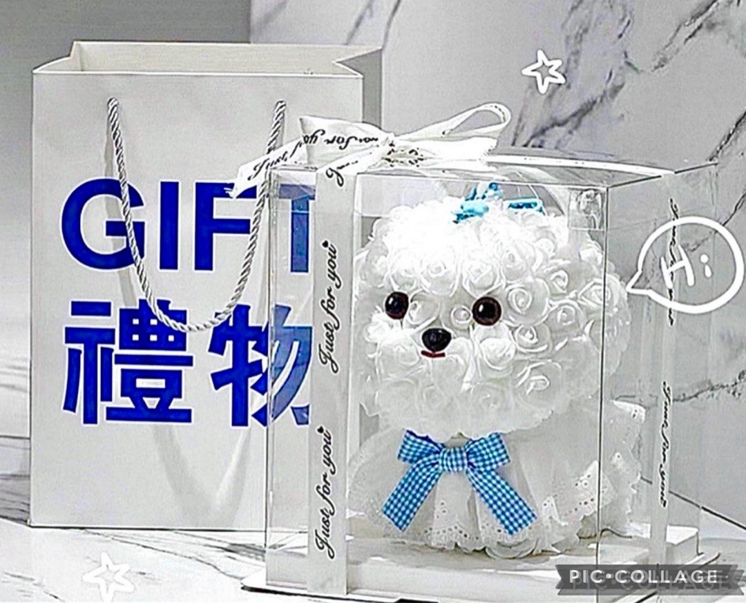 🐶Maltese Eternal rose gift box🐶Perfect for dogs lover💓 Romance is ...