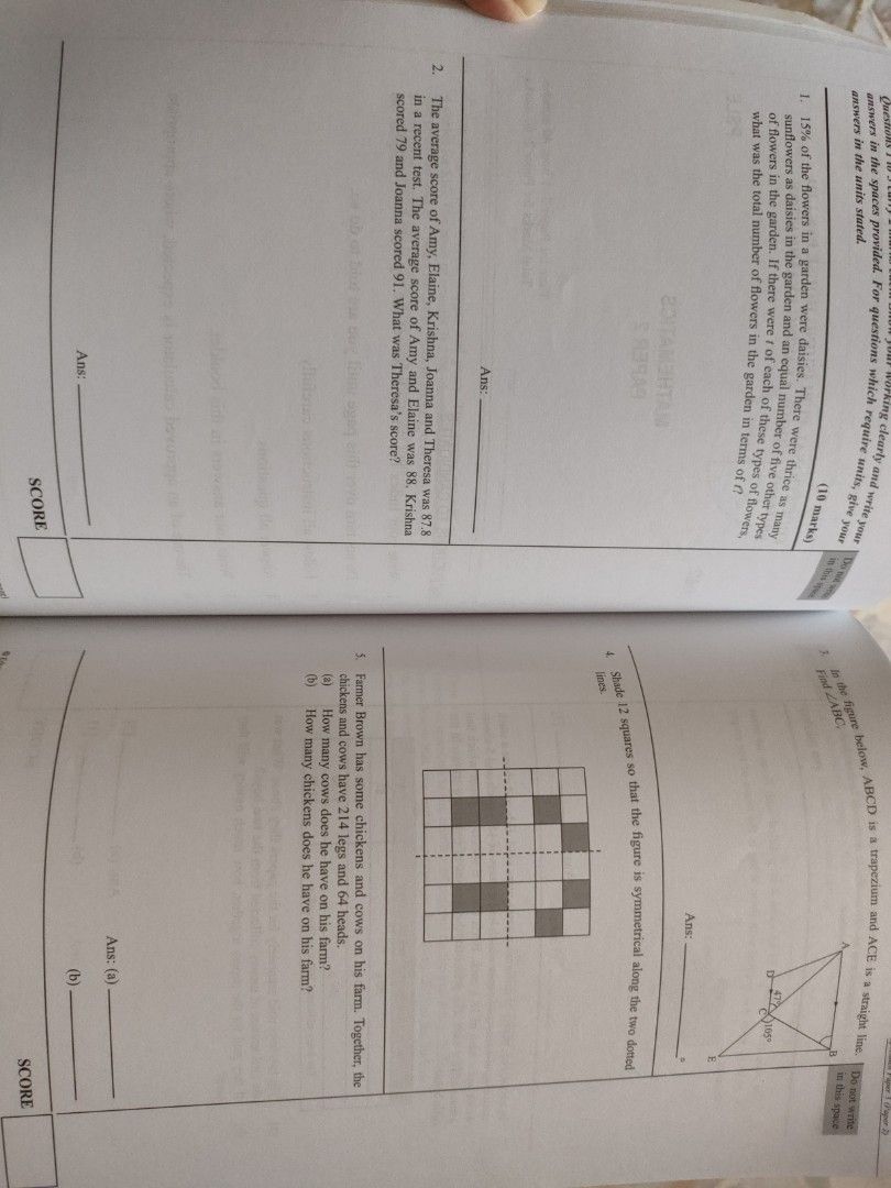 Preparing for PSLE Maths - Revised Edition, Hobbies & Toys, Books ...