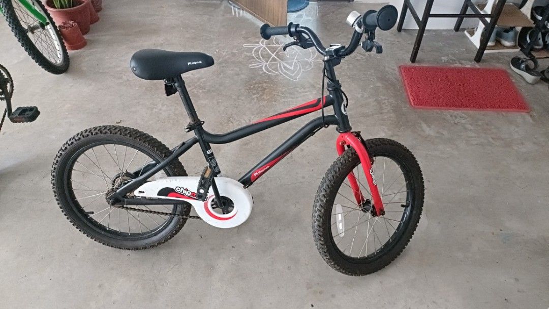 Raleigh 20" Kids' Bike - Black and Red, Sports Equipment, Bicycles ...