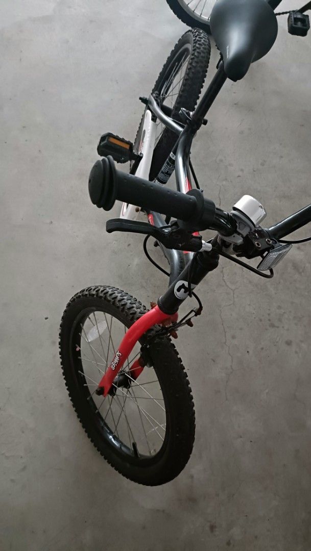 Raleigh 20" Kids' Bike - Black and Red, Sports Equipment, Bicycles ...