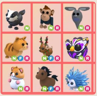 Adopt Me! - Neon/Mega Rare Pets, Video Gaming, Gaming Accessories, In ...