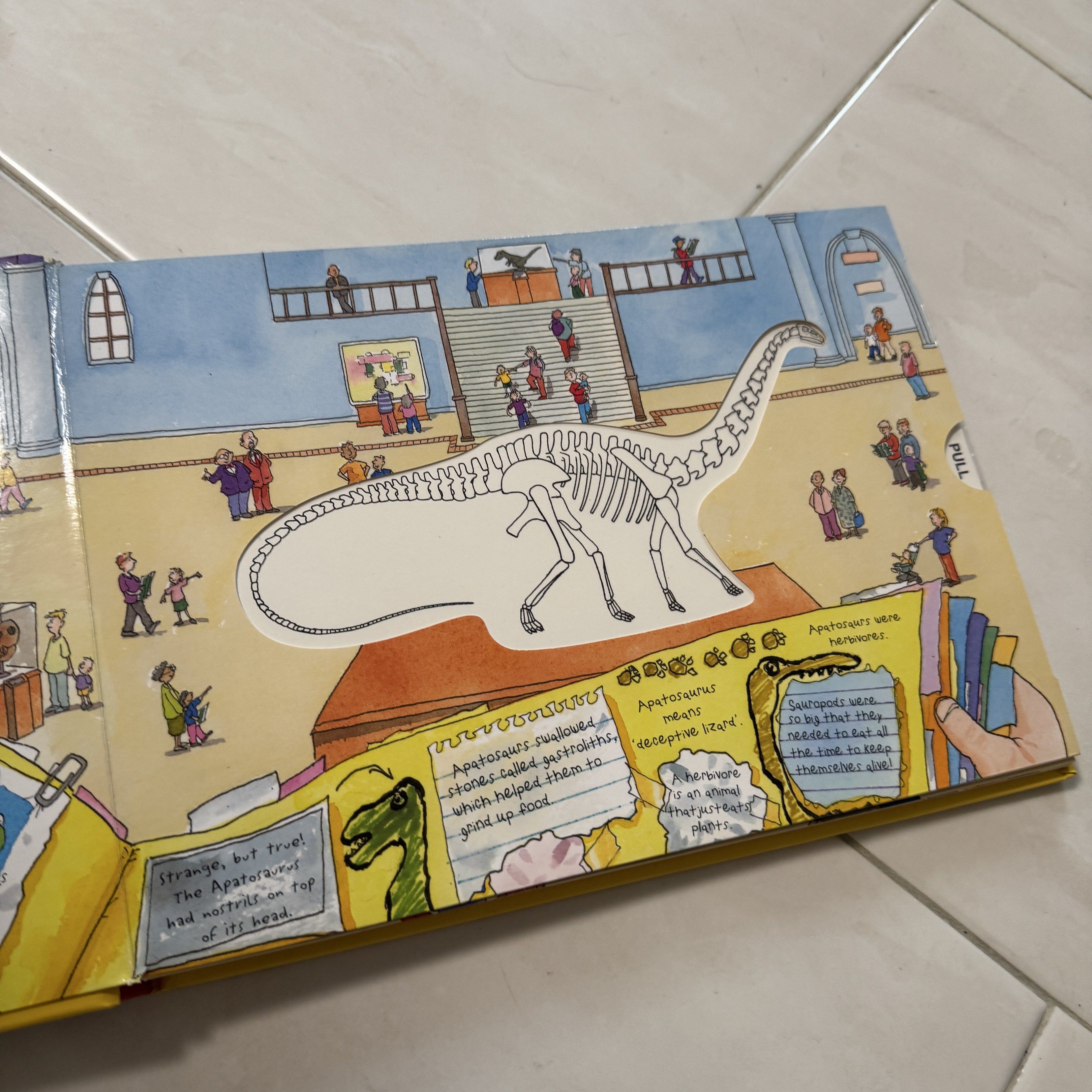 A Magic Skeleton Book - Amazing Dinosaur Discovery, Hobbies & Toys ...