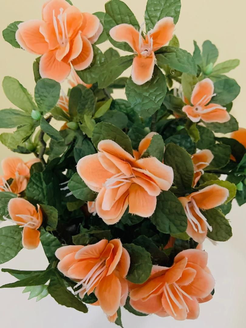 Artificial Azalea Flower Plant Arrangement in Pot, Hobbies & Toys ...