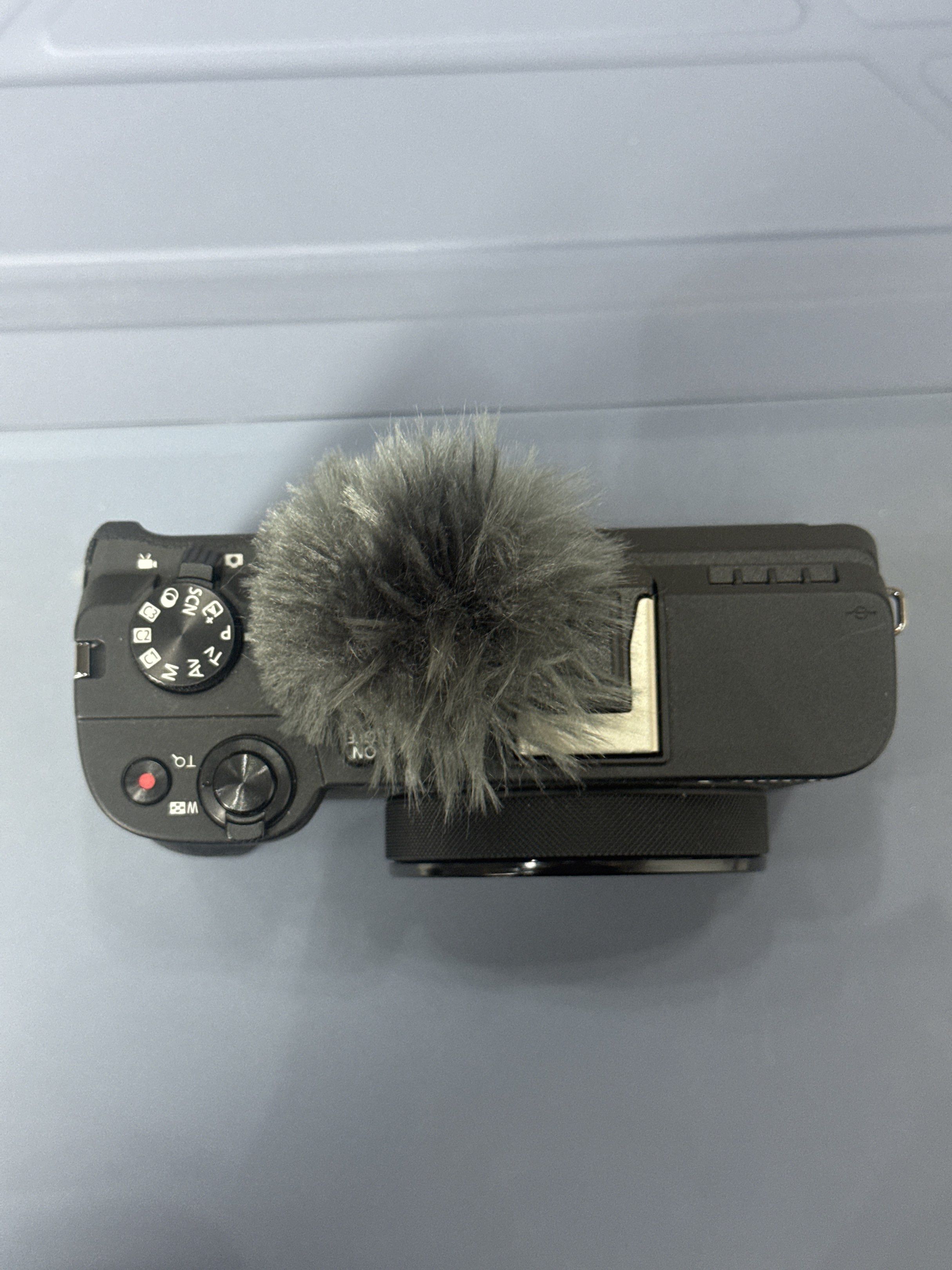 Canon PowerShot V1 Camera with her Microphone, Photography, Cameras on ...