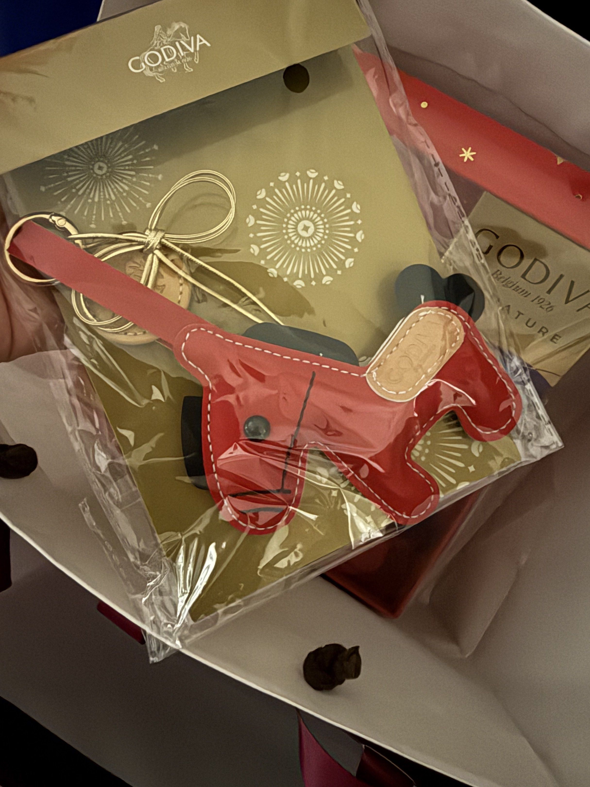 Godiva 2026 Ang Pao / Red Packets (Year of the Horse), Hobbies & Toys ...