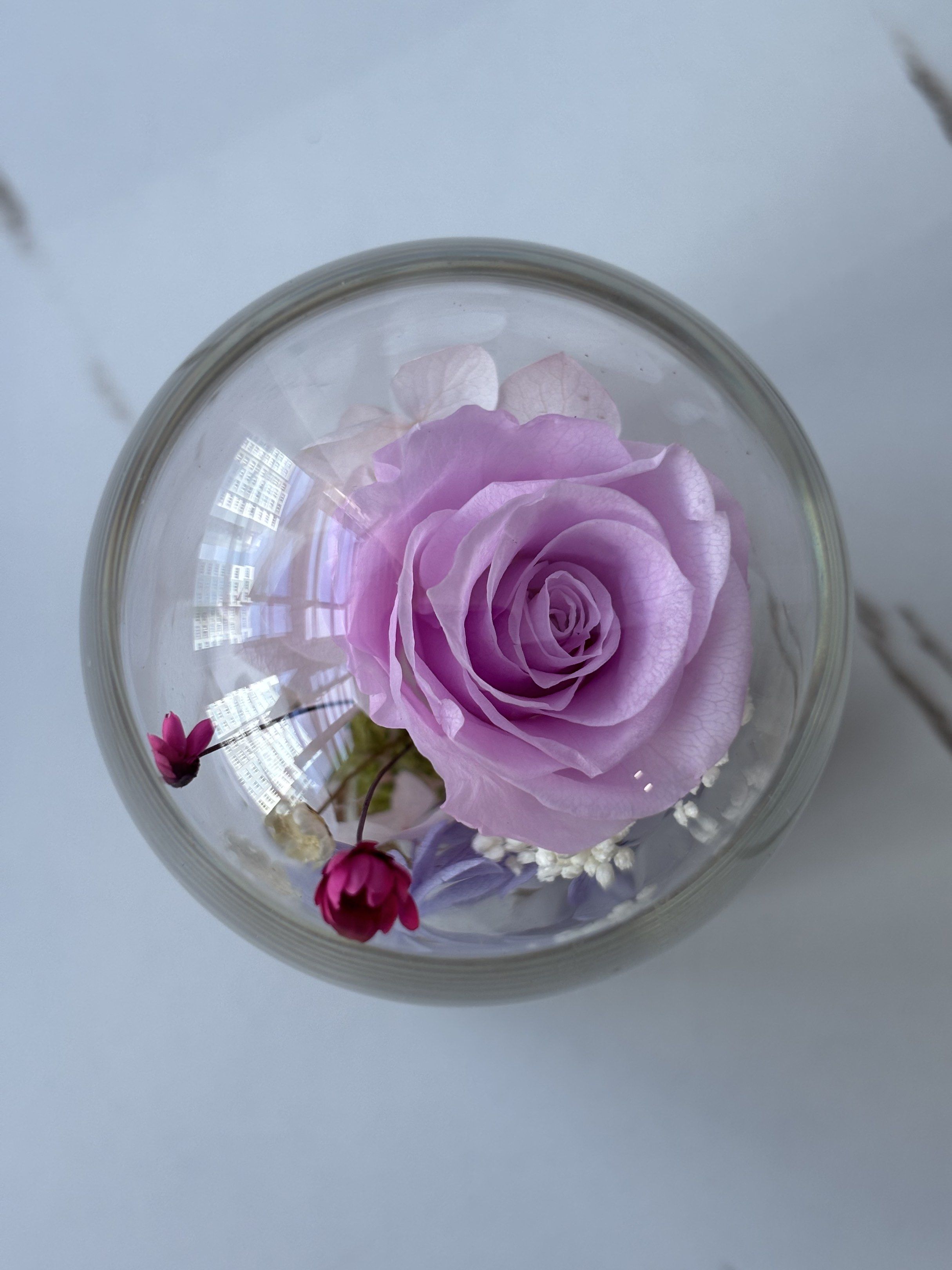 Preserved Rose Flower Dome, Hobbies & Toys, Flowers & Bouquets on Carousell