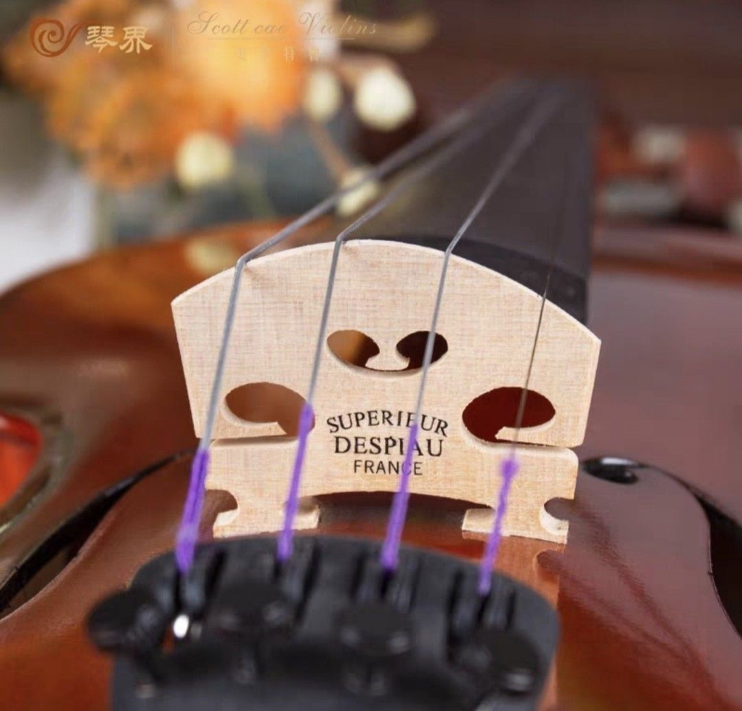 Scott Cao Violin, Hobbies & Toys, Musical Instruments on Carousell