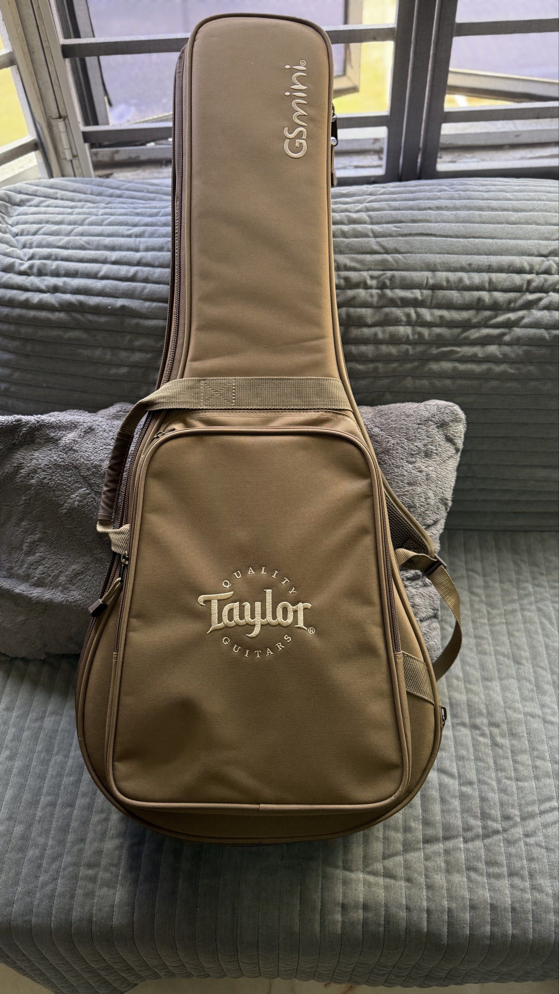 Taylor GS Mini Rosewood Acoustic Guitar, Hobbies & Toys, Music & Media ...