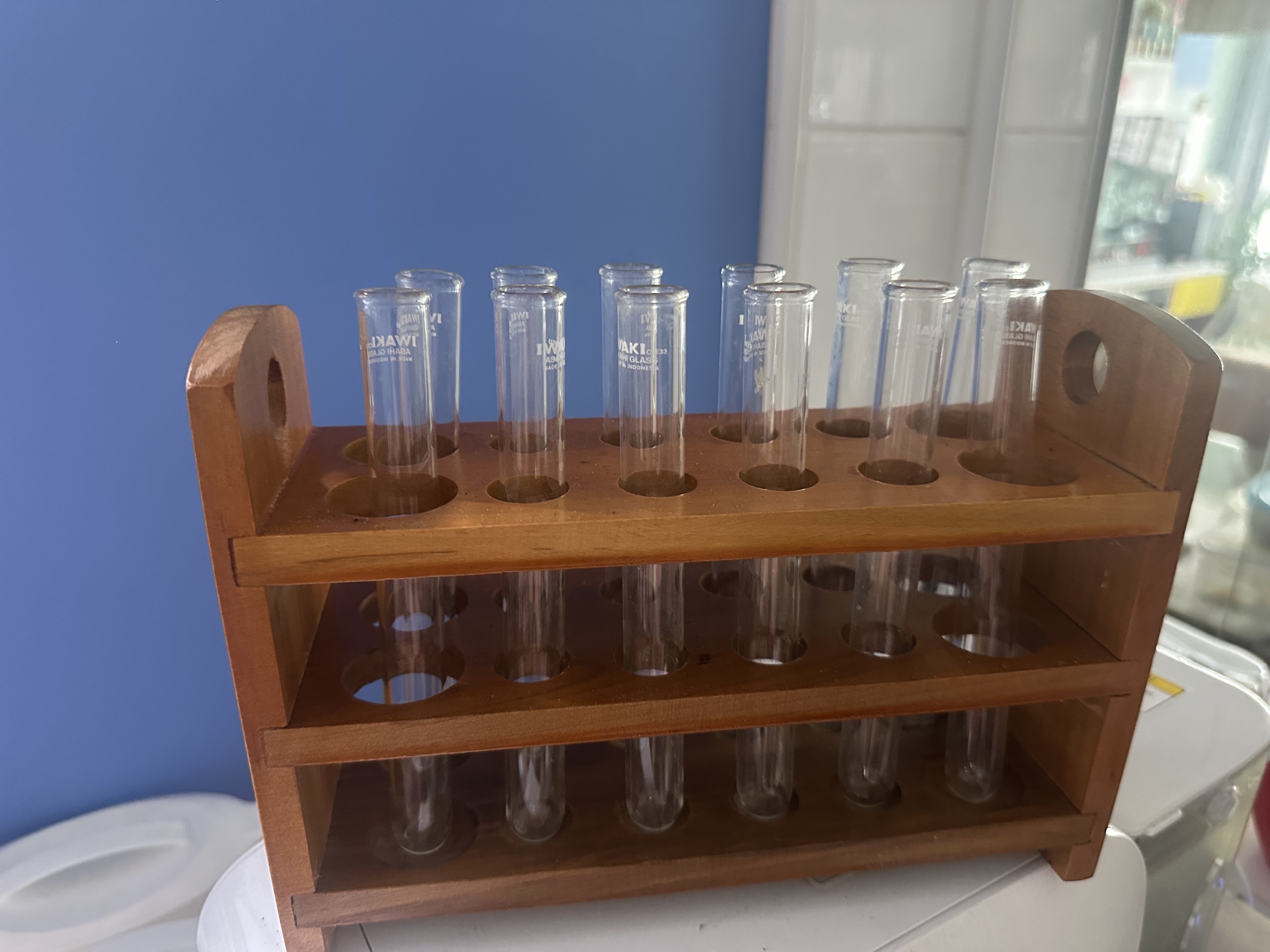 Vintage Test Tube Rack with IWAKI Test Tubes, Furniture & Home Living ...