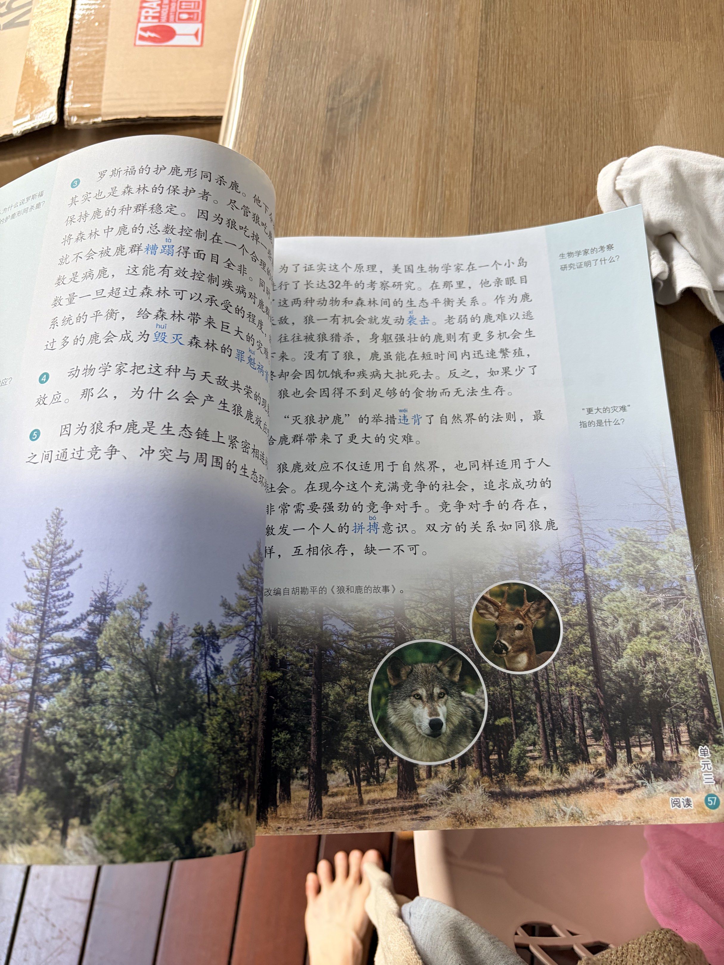 Chinese Language Textbook for Secondary Schools, Hobbies & Toys, Books ...