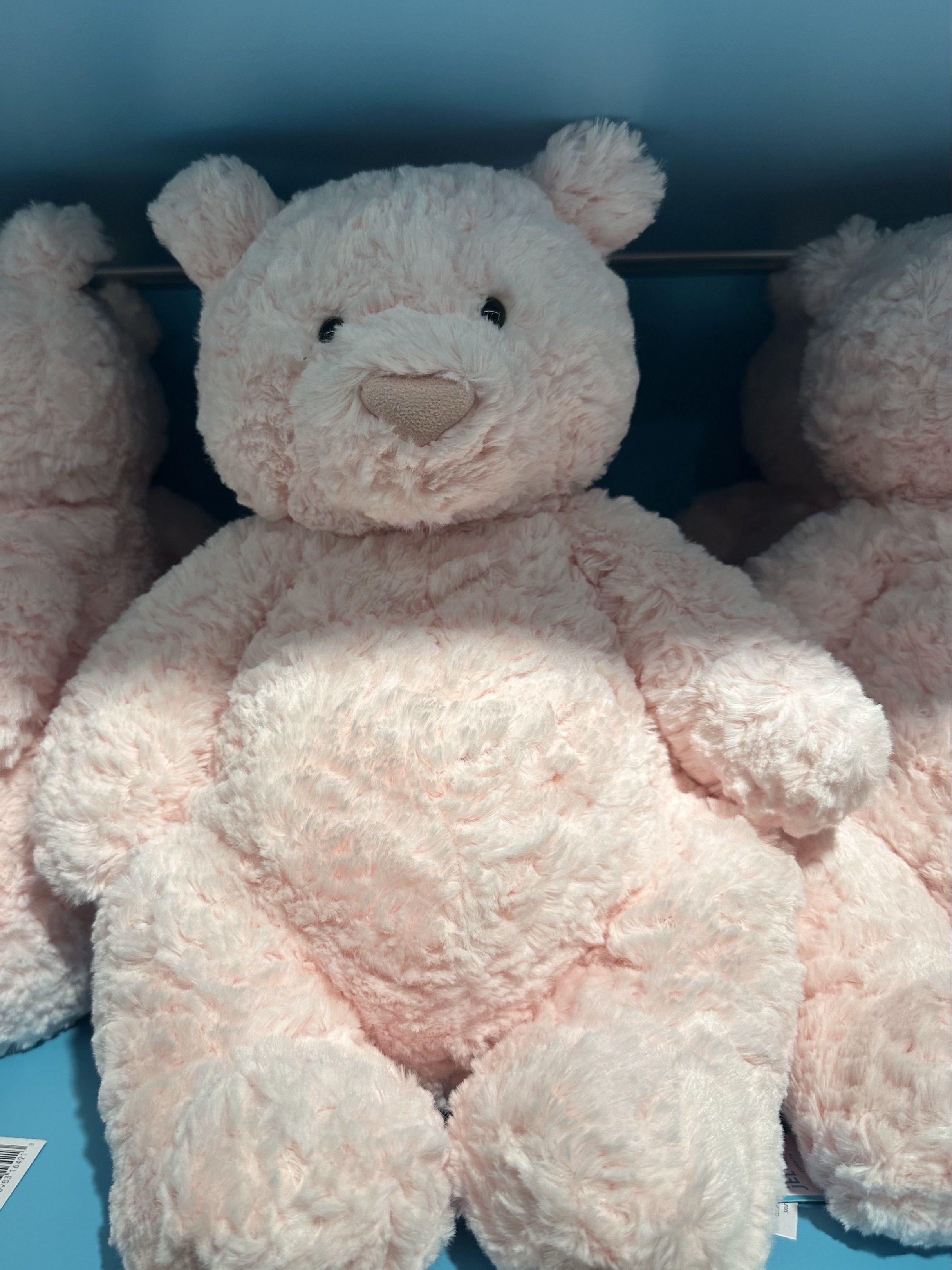 Jellycat Leola Bear, Hobbies & Toys, Toys & Games on Carousell