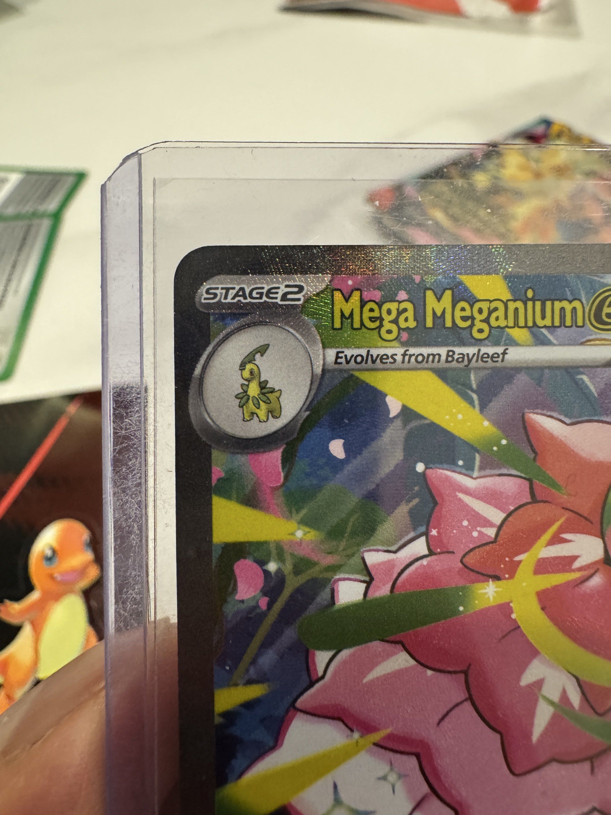 Mega Meganium EX SIR Pokemon Ascended Heroes, Hobbies & Toys, Toys ...