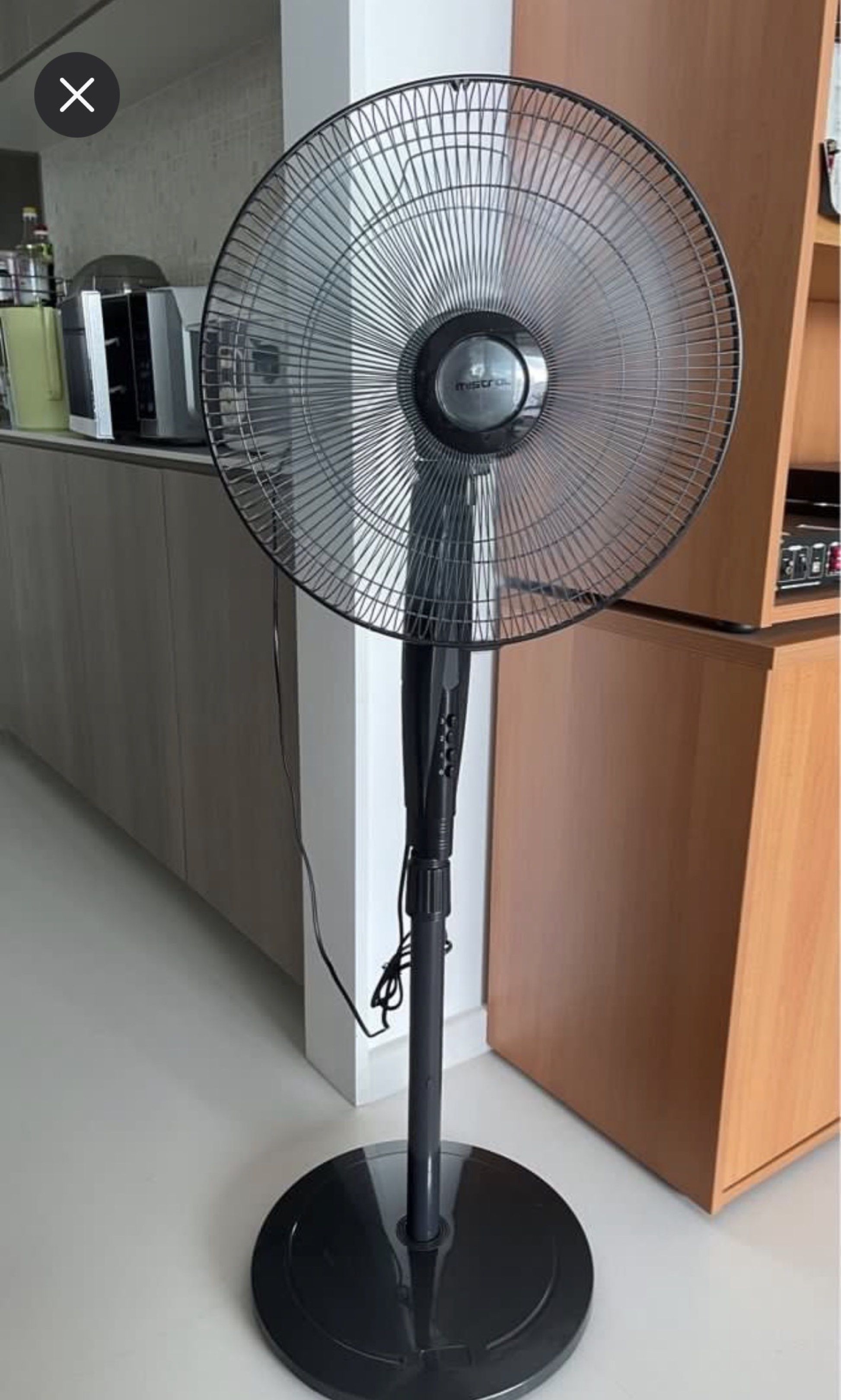 Mistral Standing Fan, Furniture & Home Living, Lighting & Fans, Fans on ...