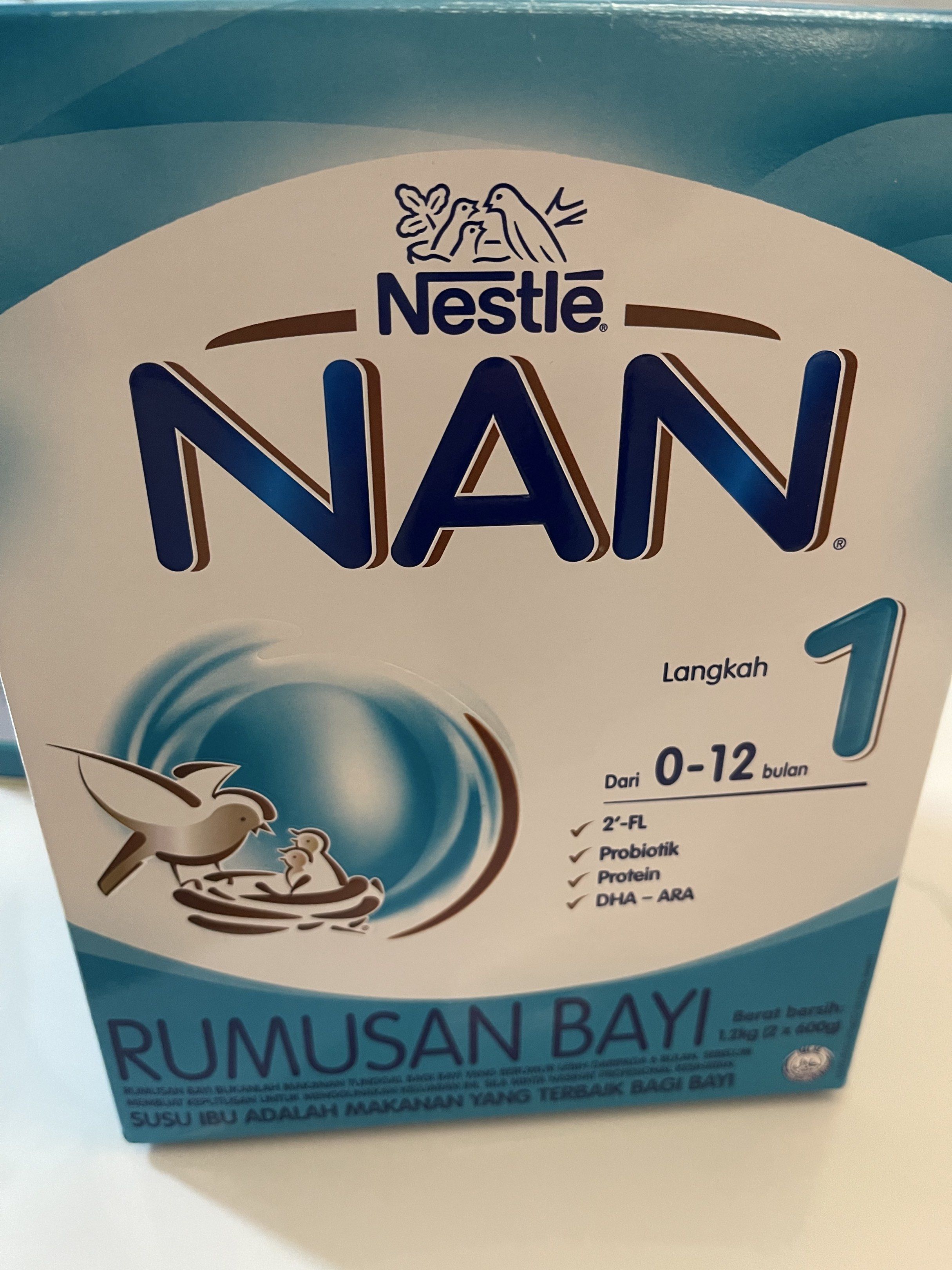 Nestle NAN 1 Infant Formula (0-12 Months), Babies & Kids, Nursing ...