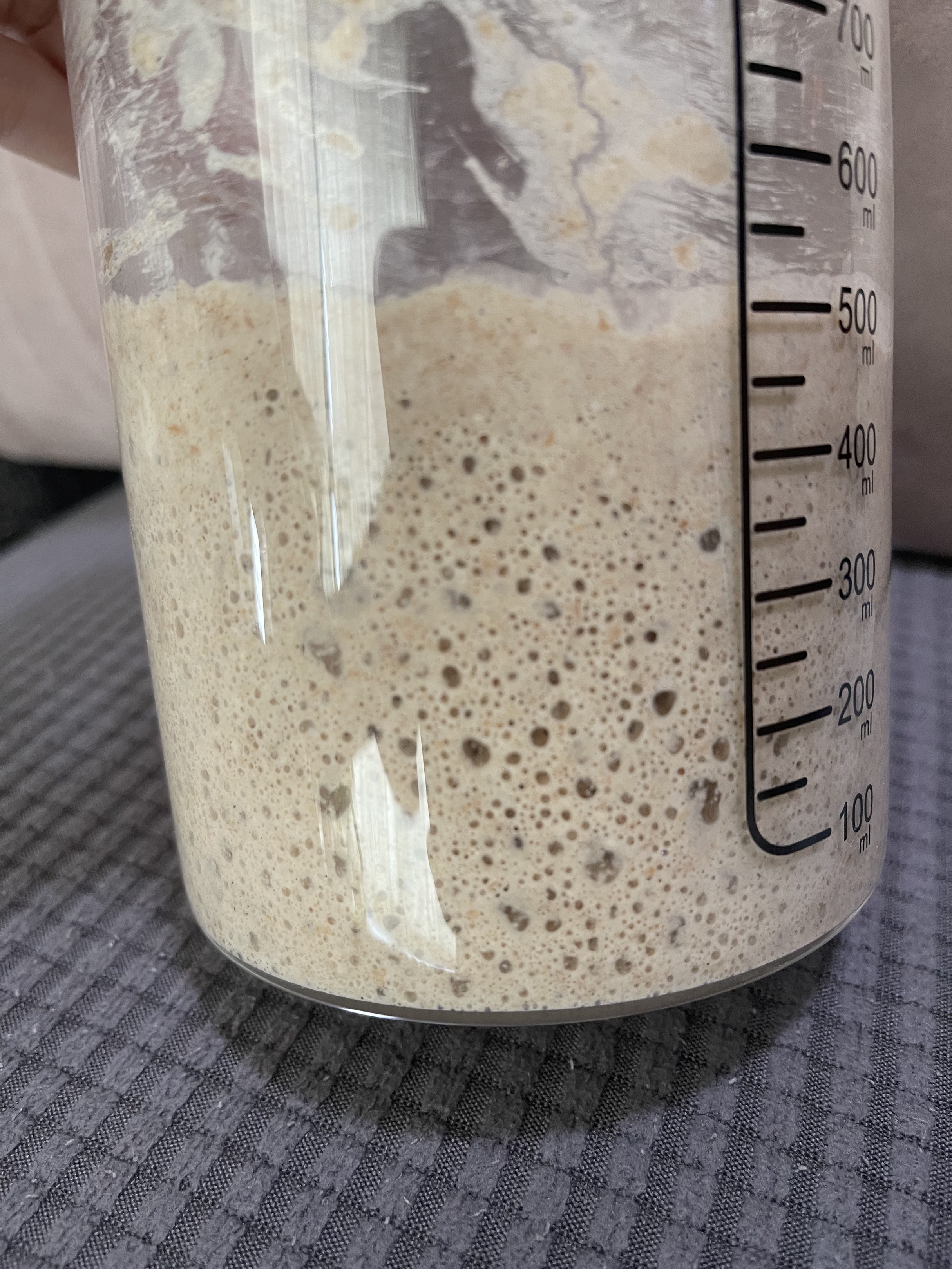 Very active sourdough starter levain- Ready to bake!, Food & Drinks ...