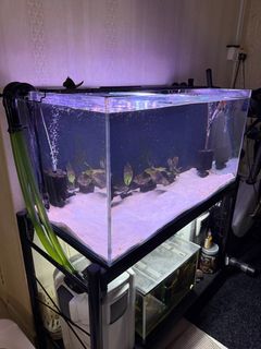 Outdoor Fish Tank Aluminium Rack Stand, Pet Supplies, Homes & Other Pet ...