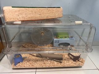 Timothy hay second 2nd cut (for hamster, rabbit, chinchilla, Guinea pig ...