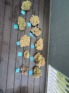 A bag of marine live rock, Pet Supplies, Homes & Other Pet Accessories ...