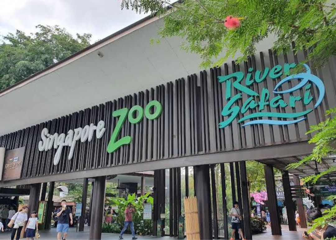 Singapore Zoo & River Safari & bird paradise tickets for 22, 24, 29 jan ...