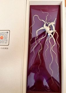 Malaysia bird nest and Korean red ginseng gift box new year, Health ...