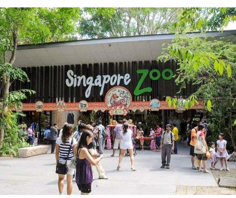 Singapore Mandai Zoo - 2 Tickets on 17th Jan 2026, Tickets & Vouchers ...