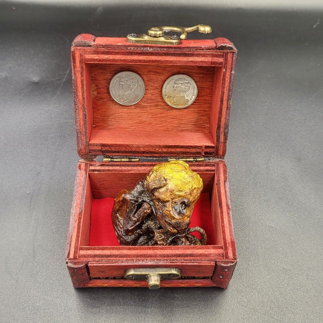 💰 💰 💰 Rare Lukok Meow Wealth Box Be 2568 Wat Po Chai By Lp Seur ~ Thai ...