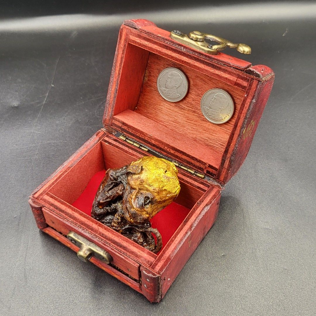 💰 💰 💰 Rare Lukok Meow Wealth Box Be 2568 Wat Po Chai By Lp Seur ~ Thai ...