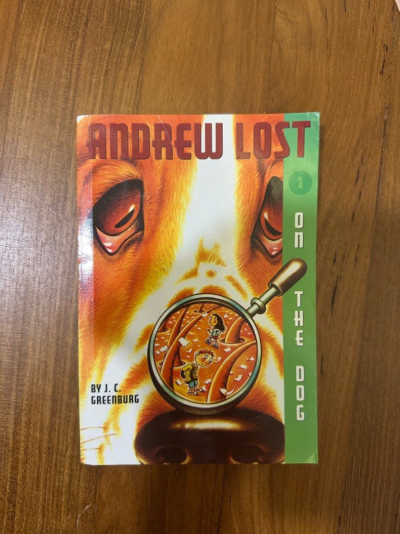 Andrew Lost Book Series - Complete Set Book 1 - 17, Hobbies & Toys ...