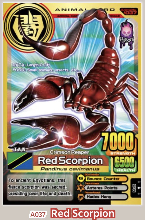 Animal Kaiser plus v3 Red Scorpion, Hobbies & Toys, Toys & Games on ...