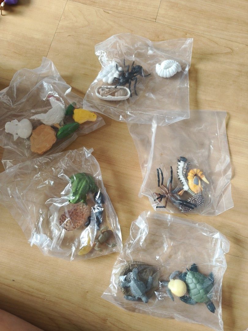 Animal Life Cycle Toy Figures Set, Hobbies & Toys, Toys & Games on ...