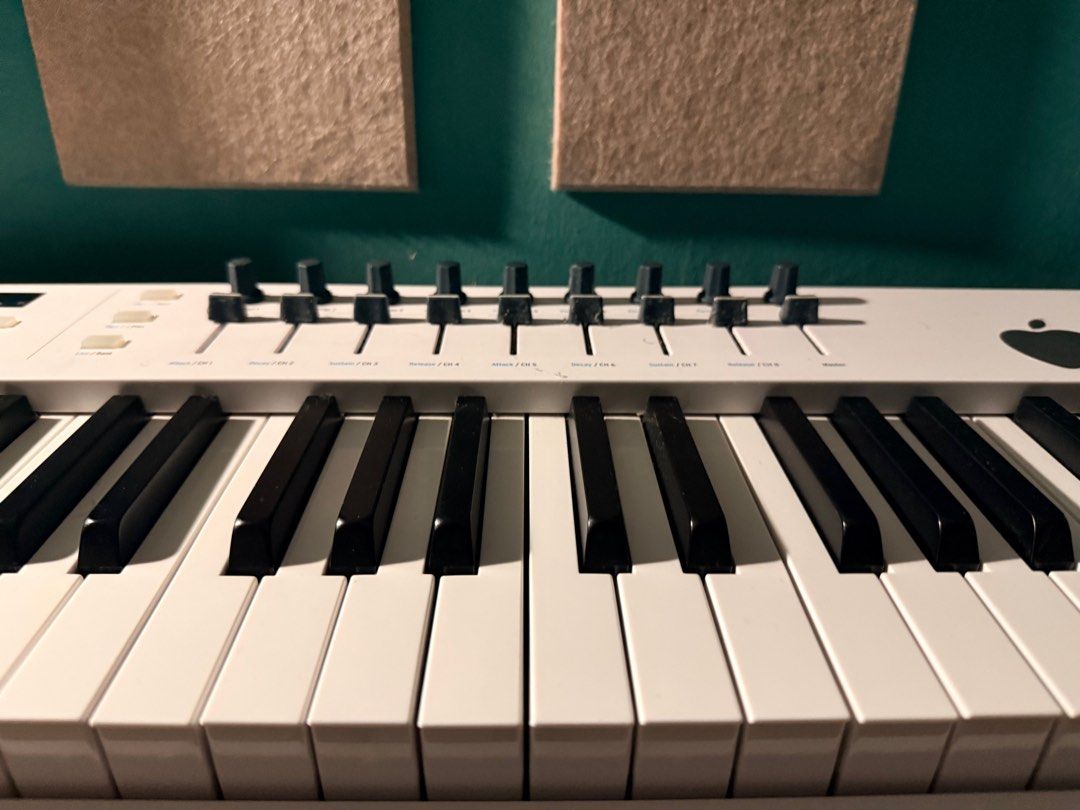 Arturia KeyLab 88 MKII MIDI Keyboard, Hobbies & Toys, Musical ...