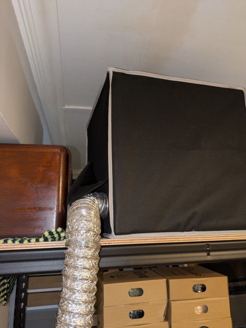 Bambulab A1 Mini 3D Printer, Computers & Tech, Printers, Scanners ...