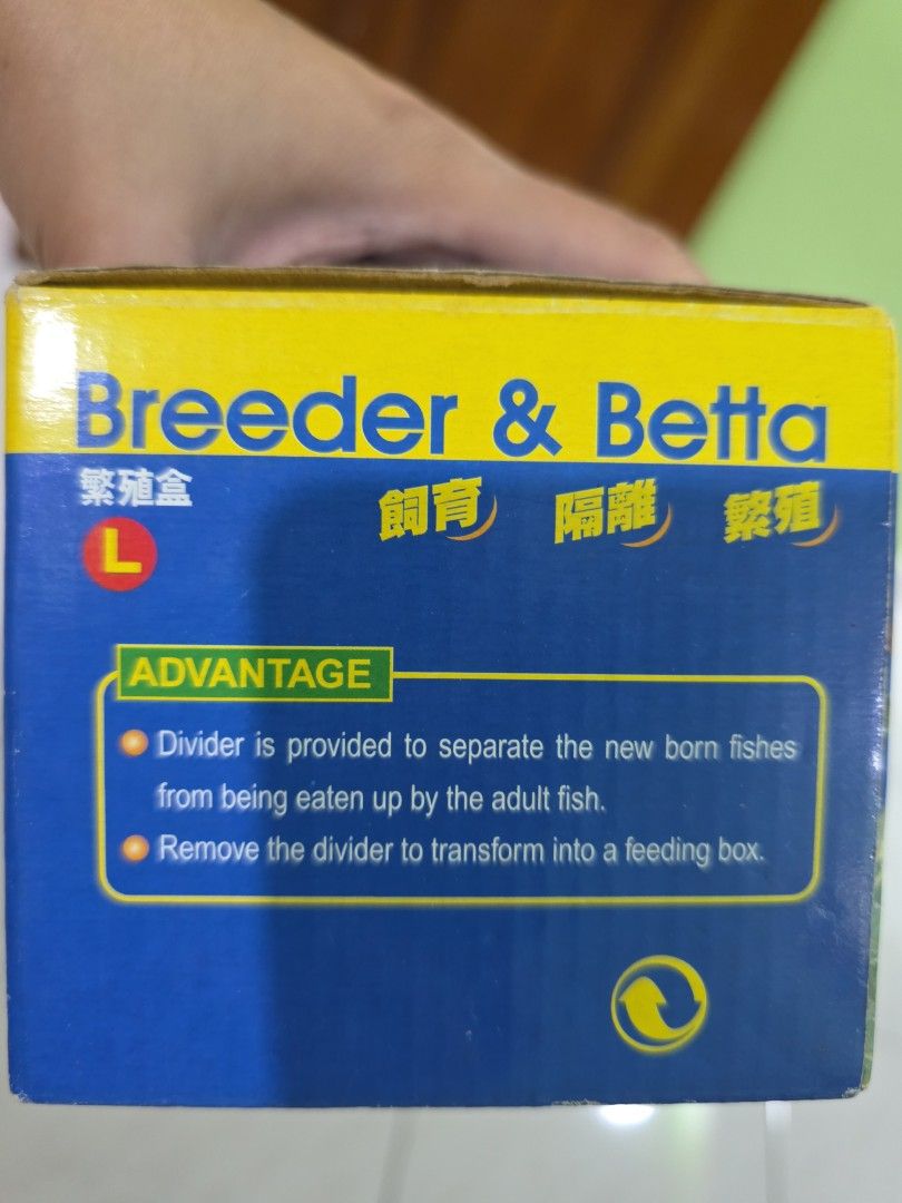 Breeder & Betta Fish Breeding Box - L Size, Pet Supplies, Homes & Other ...
