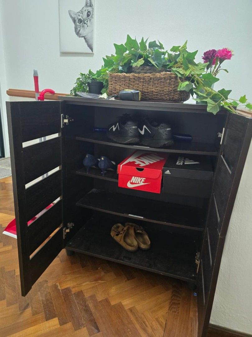 Dark Brown Shoe Cabinet with 2 Doors, Furniture & Home Living ...