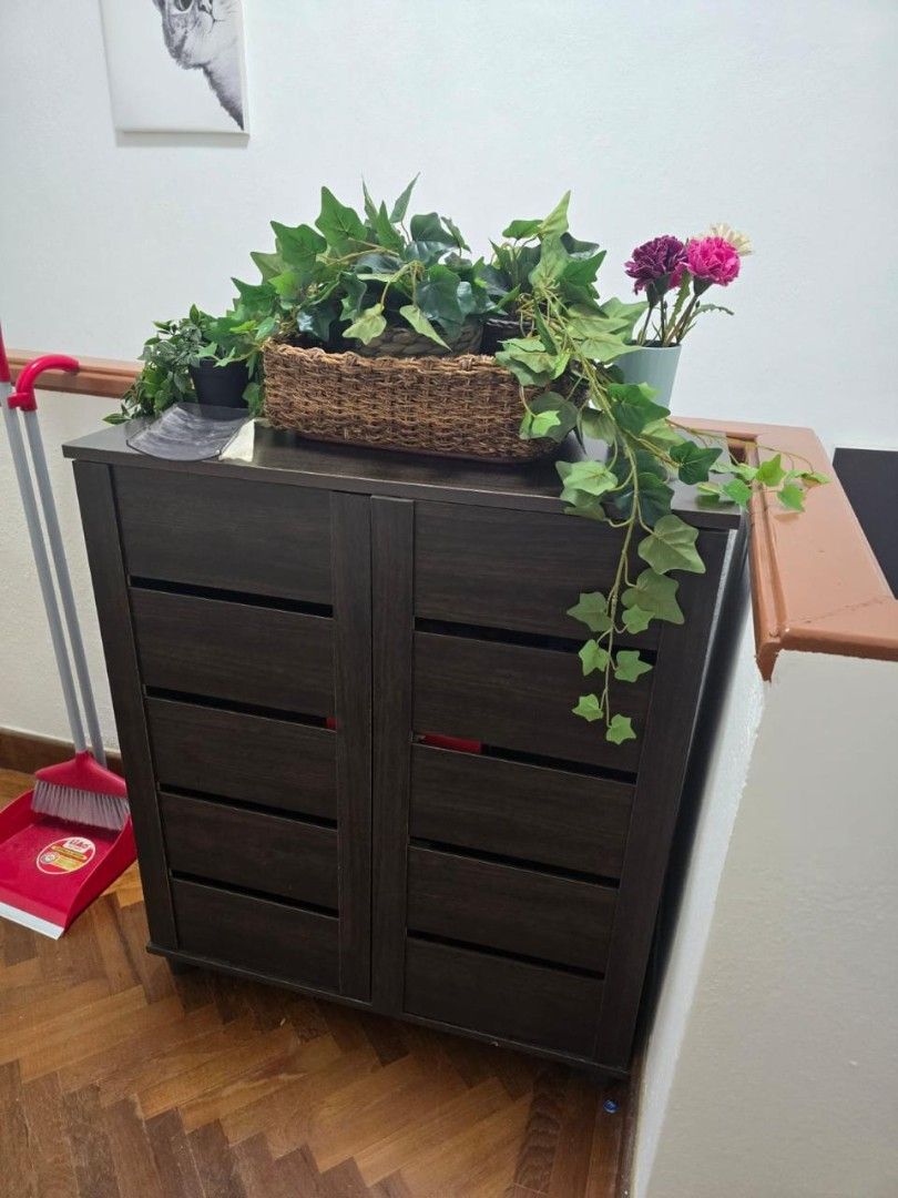 Dark Brown Shoe Cabinet with 2 Doors, Furniture & Home Living ...