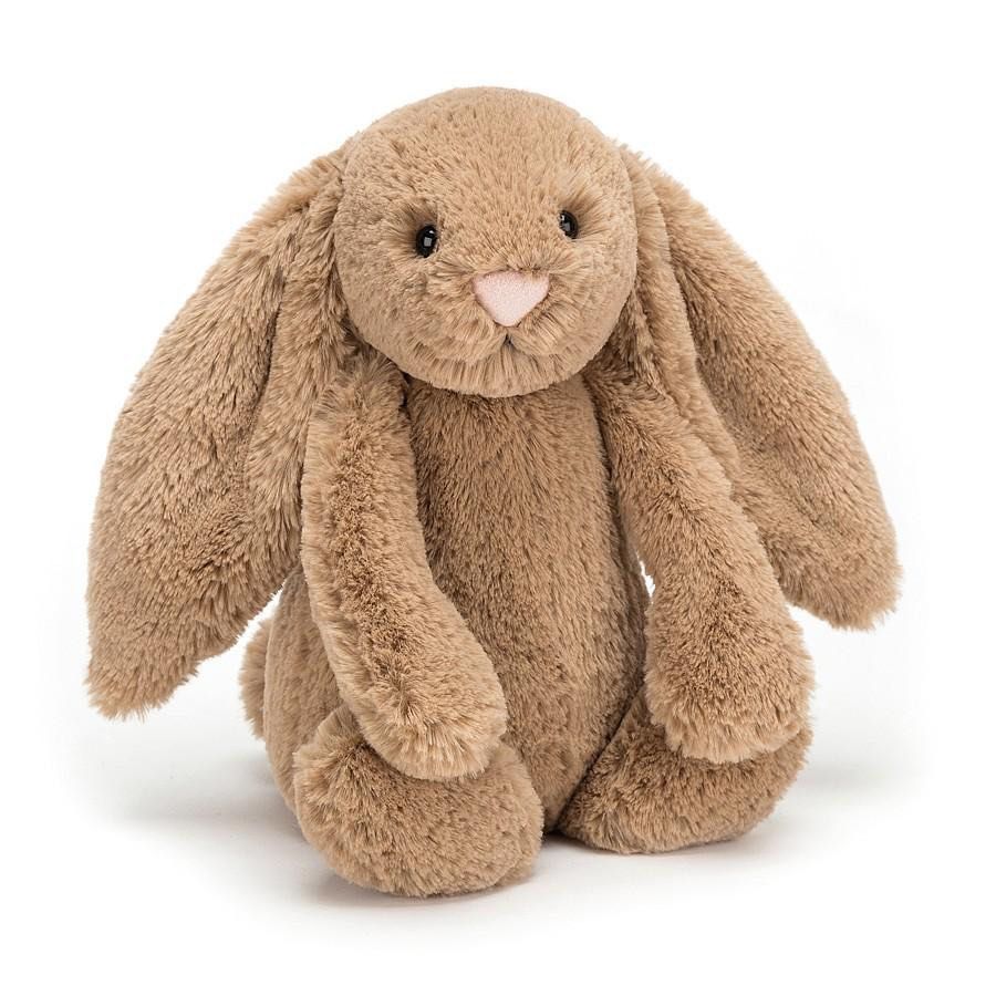 Jellycat Bunny Bashful Biscuit, Hobbies & Toys, Toys & Games on Carousell