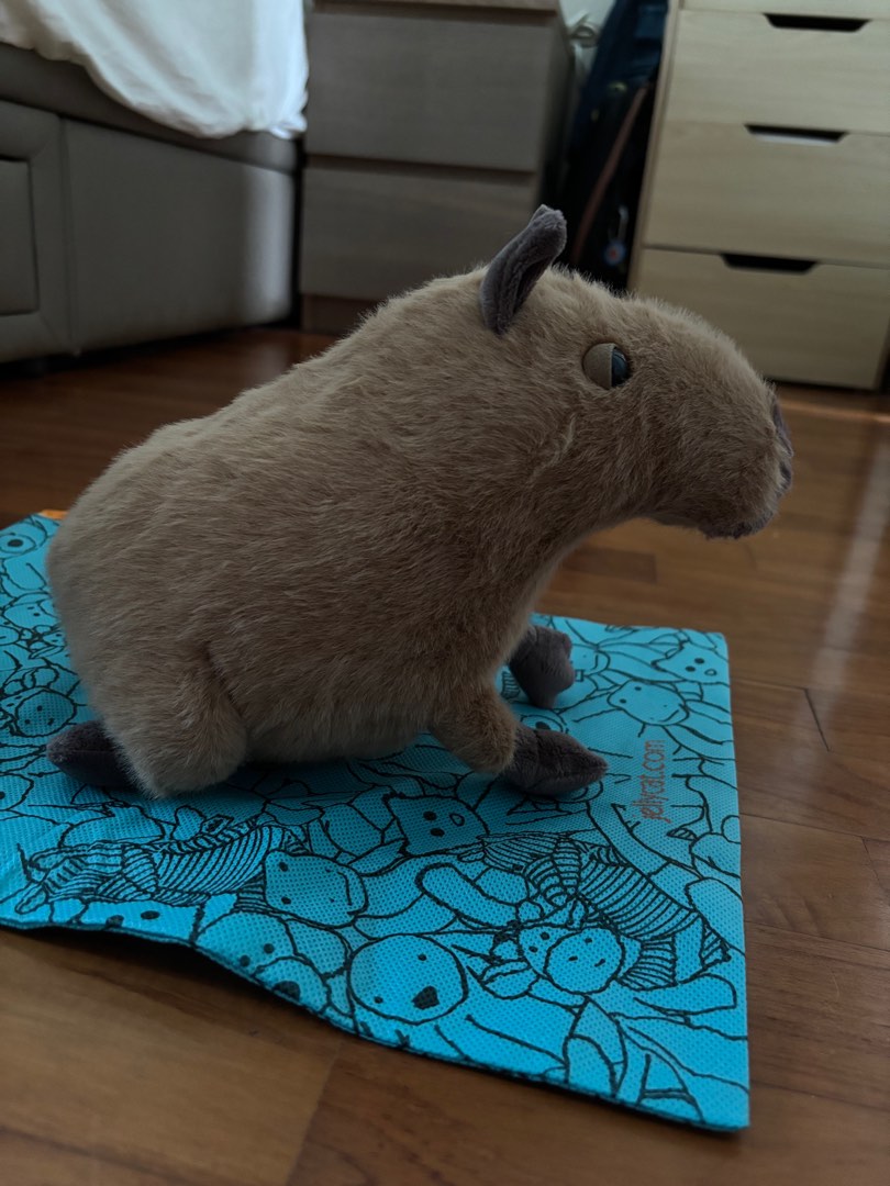 Jellycat Clyde Capybara Plush Toy, Hobbies & Toys, Toys & Games on ...